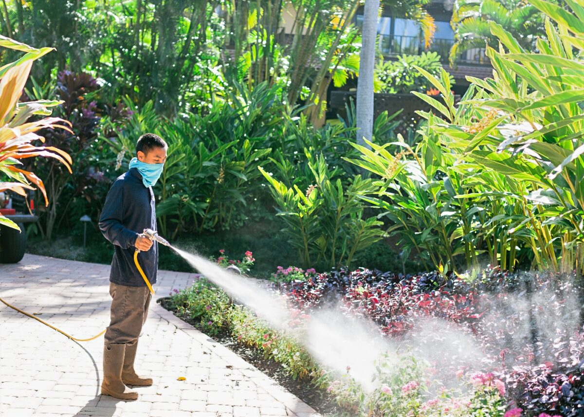 Makena Surf - He-Man Landscaping